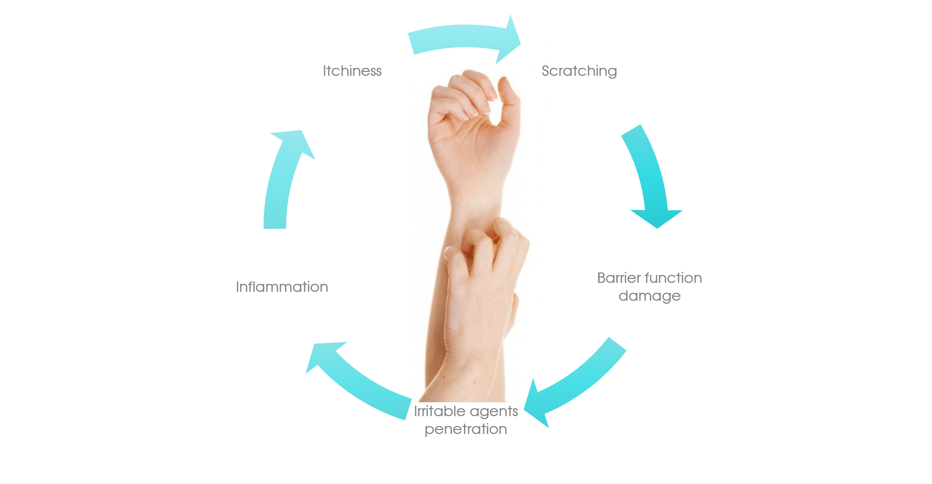 atopic skin vicious cycle · Care to Beauty